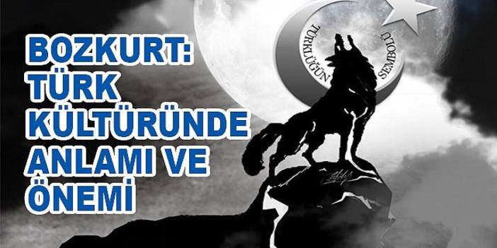 Bozkurt Türk'ün Sembolü, Türk Kültüründeki Anlamı: Tarihten ve Bugüne ...